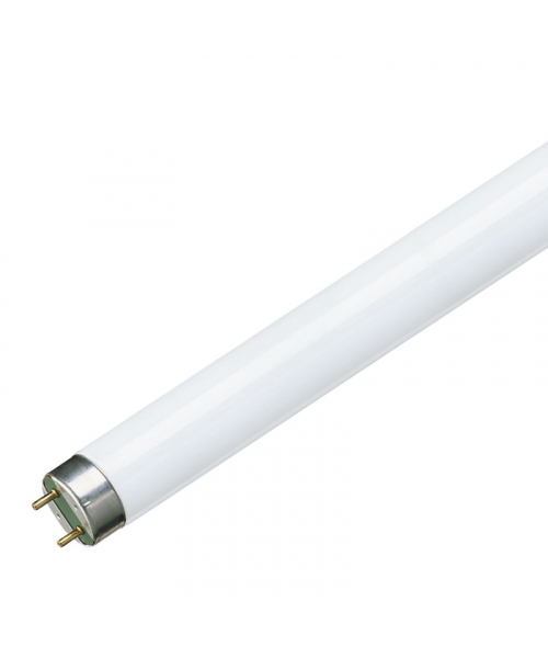 Tube fluorescent 36.8W 0.44A G13 6500K 927921086544 - Vlad